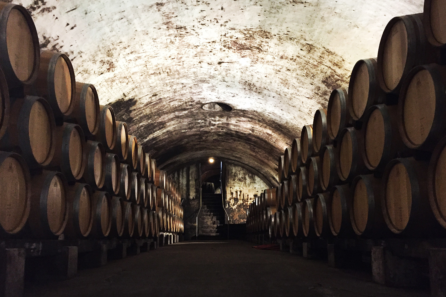 Wine Barrels: A Long History and a Bright Future